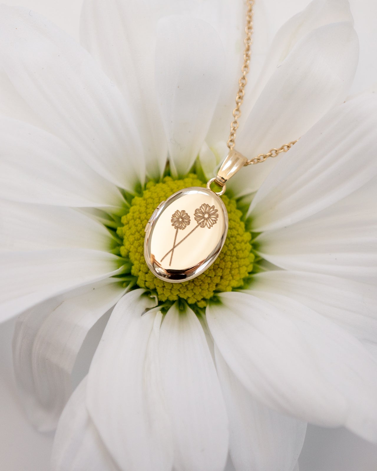 Daisy Oval Locket – Kindred Row